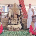 The Mystical Trees of Igboland: A Summary Nnewi City