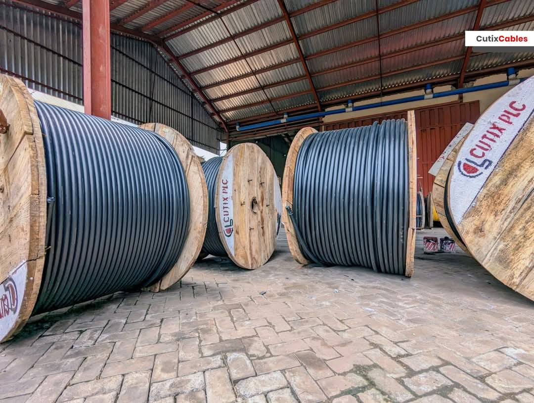 The Economy of Southeastern Nigeria: Trade, Industry, Agriculture, and ...