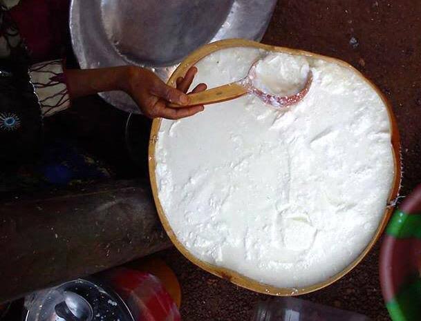 How Fulani Milk Culture Inspires Yogurt-Making in Northern Nigeria ...