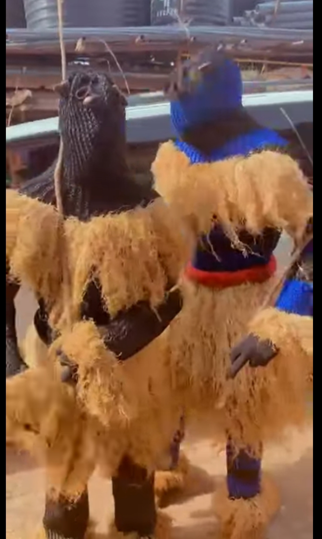 Imo Awka Festival: Awka’s Biggest Traditional Masquerade Celebration ...