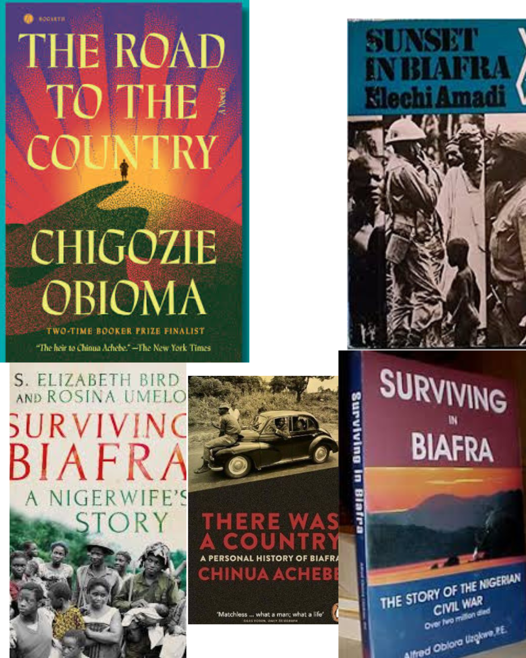 Top Documentaries, Books, and Films About the Biafran War - Nnewi City