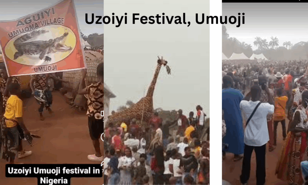 The Ijaw People of Nigeria - Nnewi City