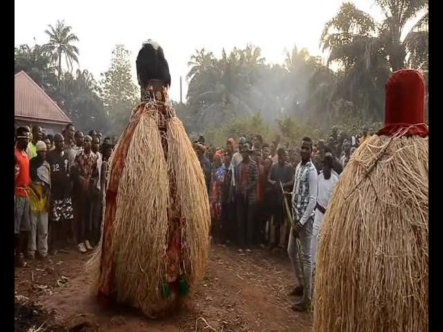 Owu Festival in Igboland: A Celebration of Heritage, Masquerades and ...